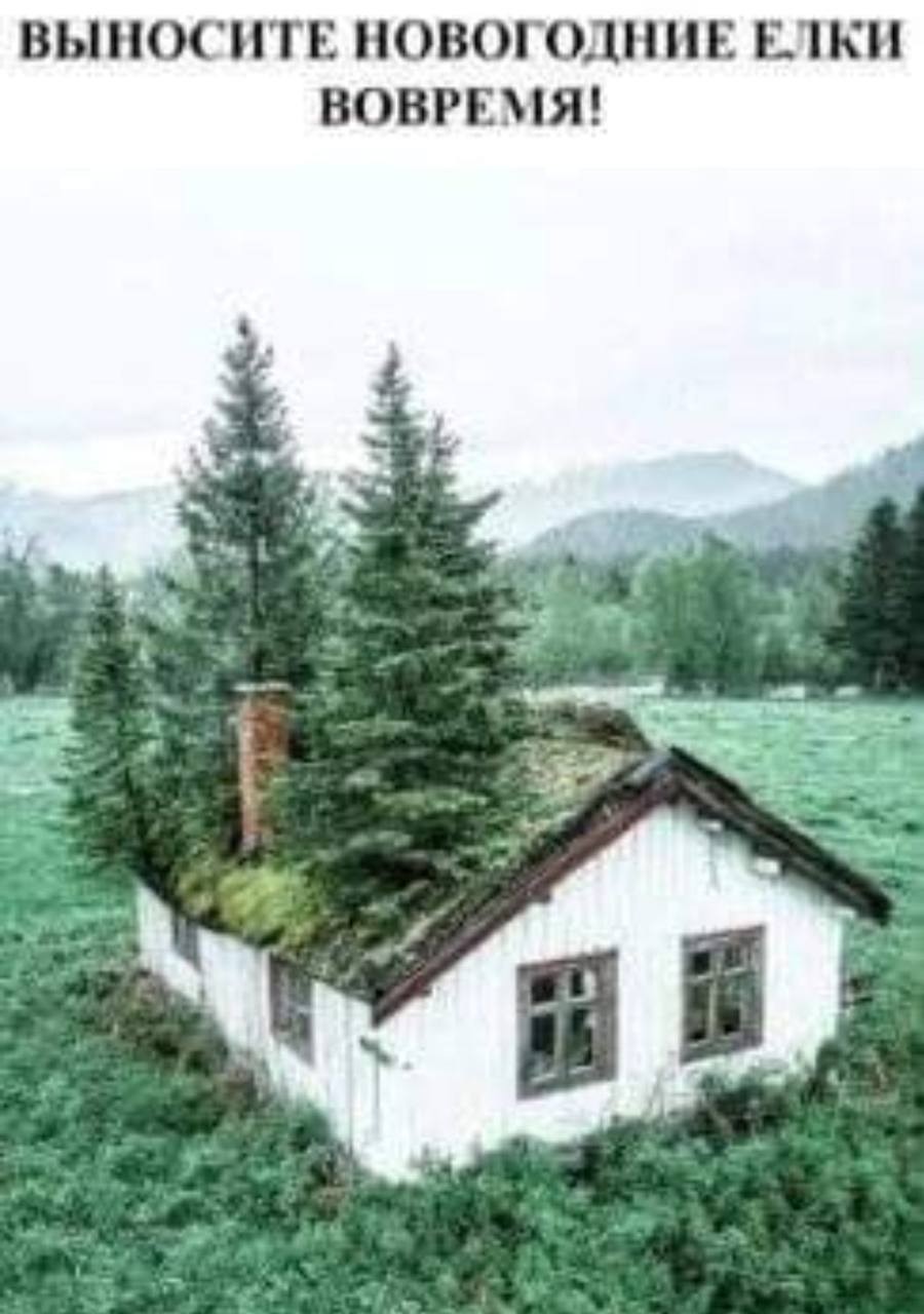 А кто ещё не выкинул ёлку [2] - Конференция iXBT.com