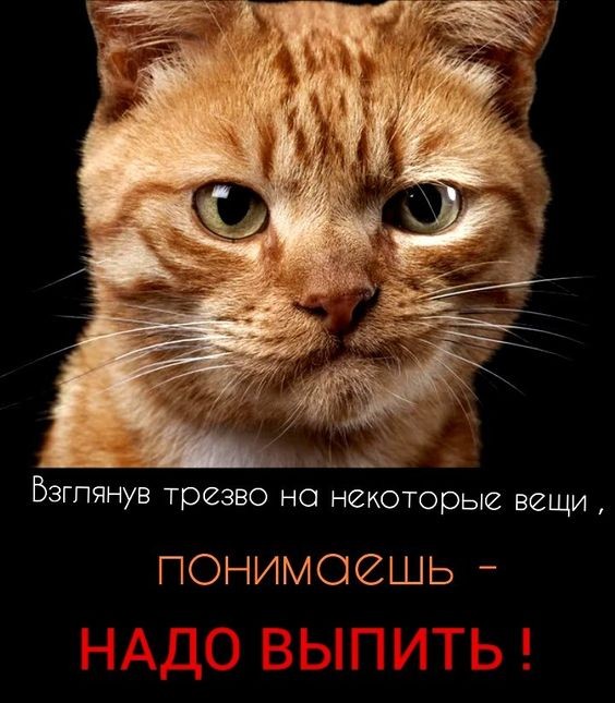 Дугин против Чебурашки - Блог о скрытых механизмах познания и ...